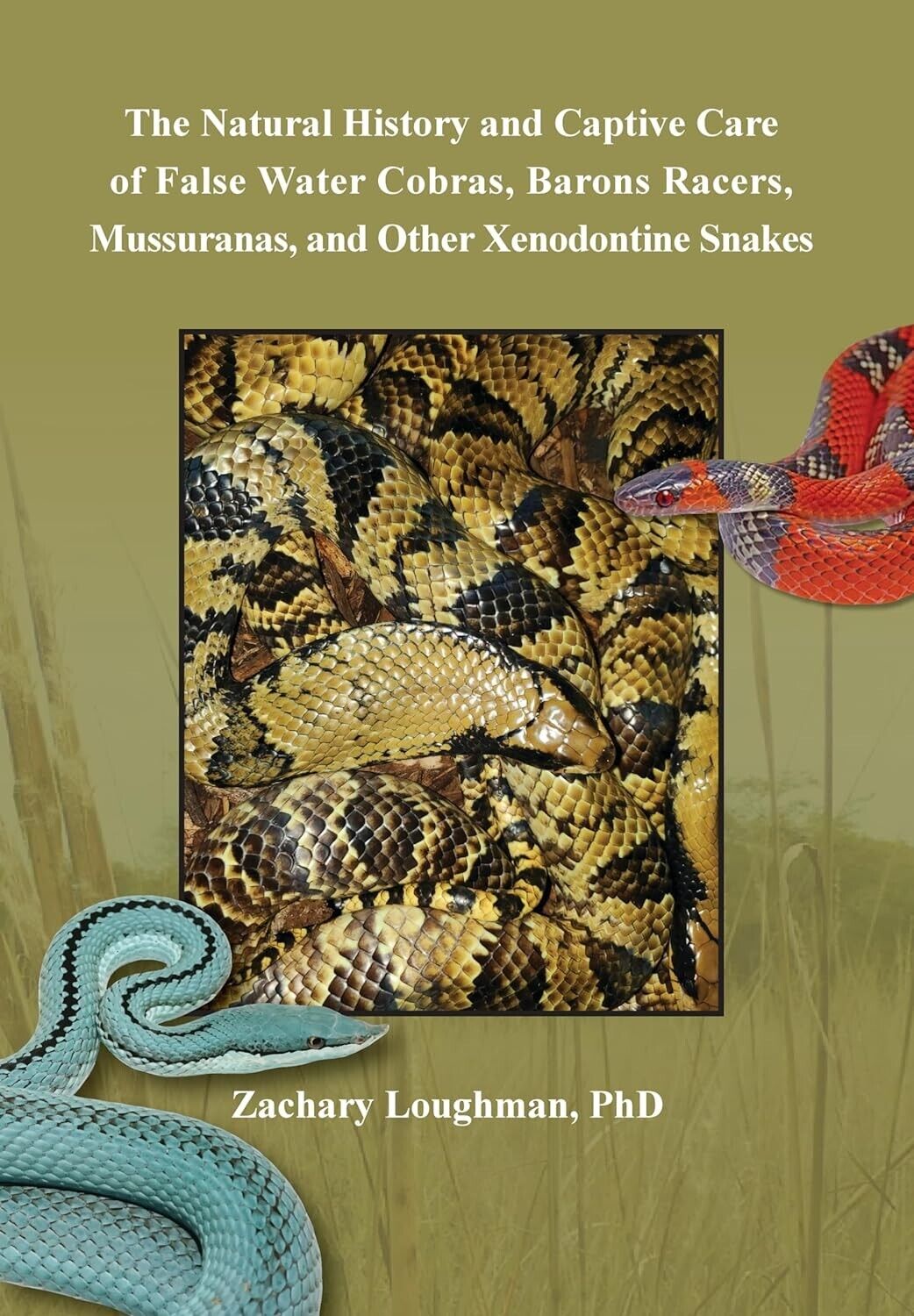 The Natural History and Captive Care of False Water Cobras by Dr. Zac ...